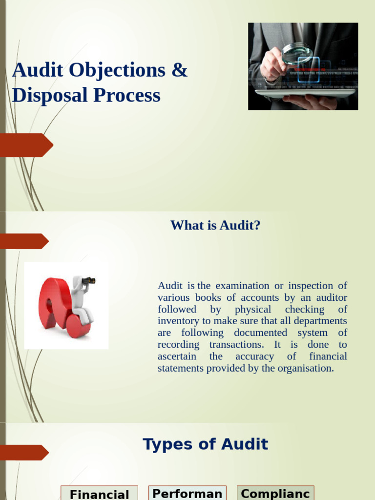 Audit Observations Disposal Process | PDF | Audit | Government