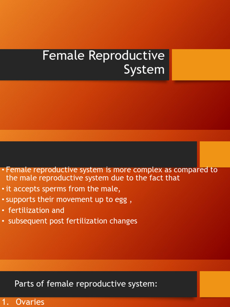 Presentation (18) | PDF