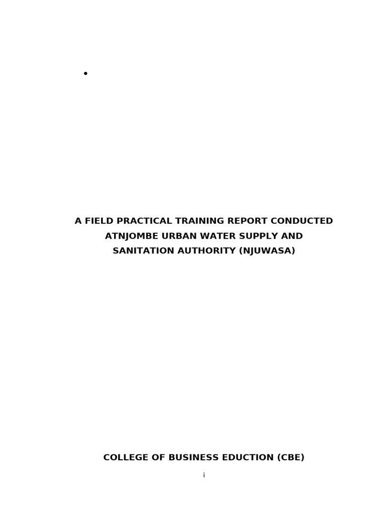 Rich Report | PDF | Water Supply | Human Resources