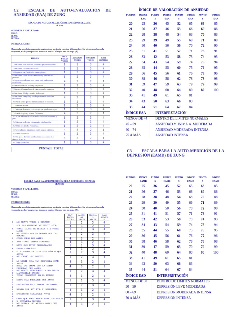 Evaluación Ansiedad y Depresión Zung | PDF