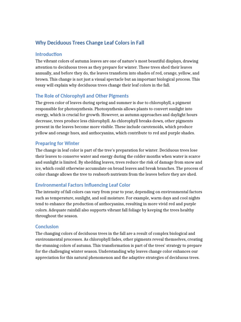 Deciduous Trees Leaf Color Change Essay | PDF