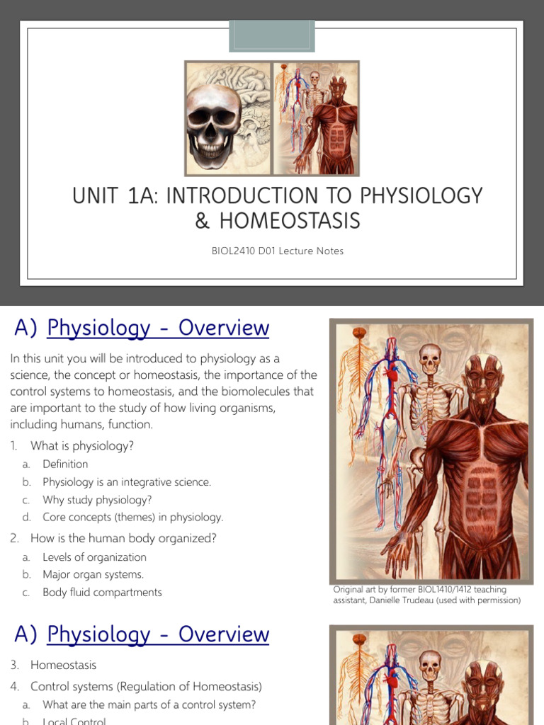 Introduction to Physiology and Homeostasis | PDF | Human Body | Homeostasis