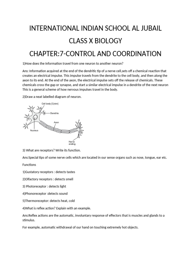 CLASS X Control & Coordination Notes NOTES | PDF | Neuron | Nervous System