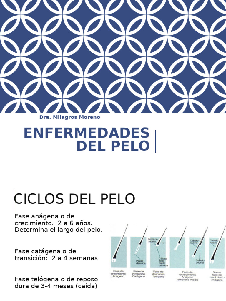 Enfermedades Del Pelo 2020 2 | PDF | Perdida de cabello | Dermatología