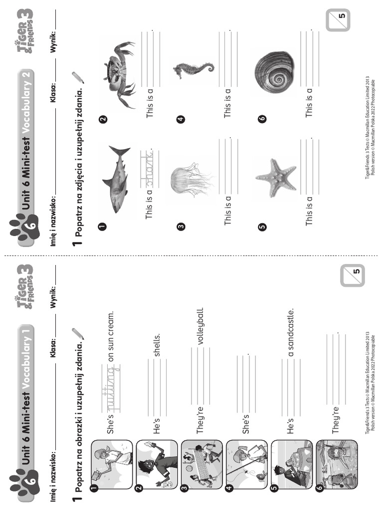 T F3 Unit 6 Mini-Tests | PDF