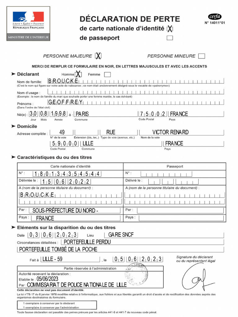 Declaration Perte Broucke PDF | PDF