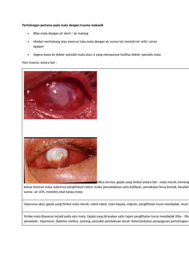 Pertolongan Pertama Pada Mata Dengan Trauma Mekanik | PDF