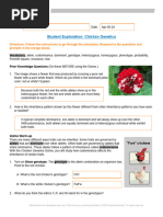 Pigeonetics Game Teacher Guide | PDF | Dominance (Genetics) | Allele