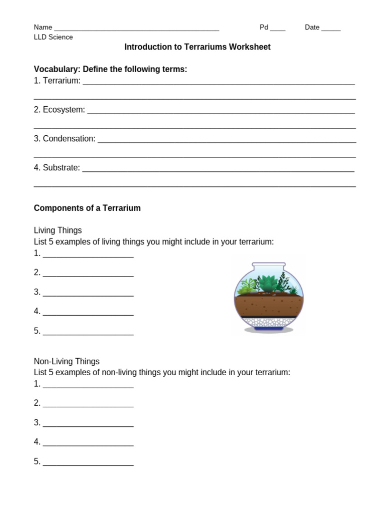 Introduction to Terrariums Worksheet | PDF | Vivarium | Buildings And ...