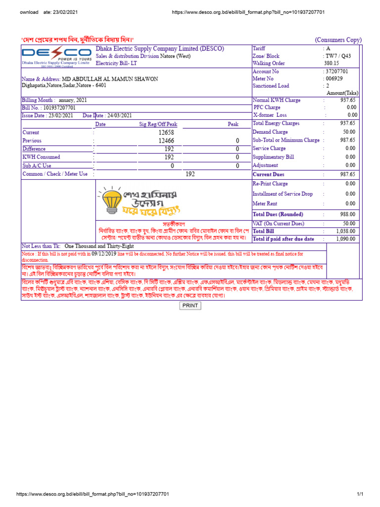 Electric Bill | PDF