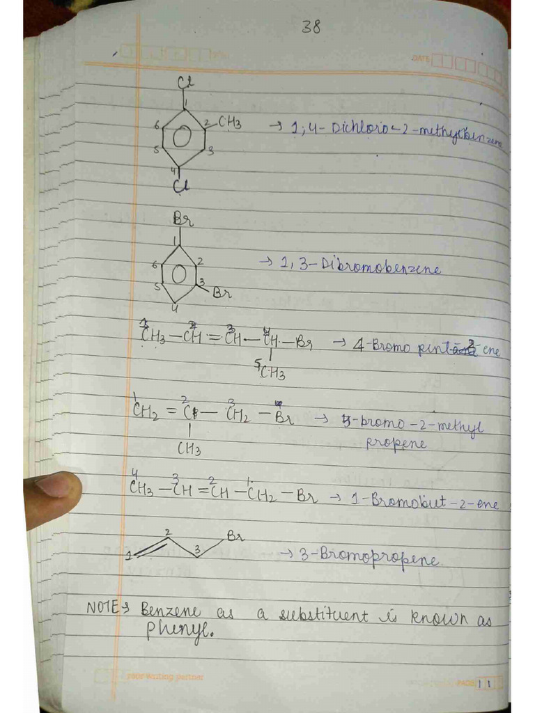 Halogen Notes | PDF
