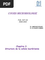 01 Structure Bacterienne | PDF | Bactérie | Cellule (Biologie)