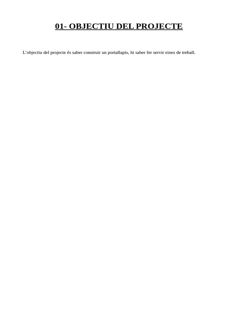 Objectiu Del Projecte | PDF