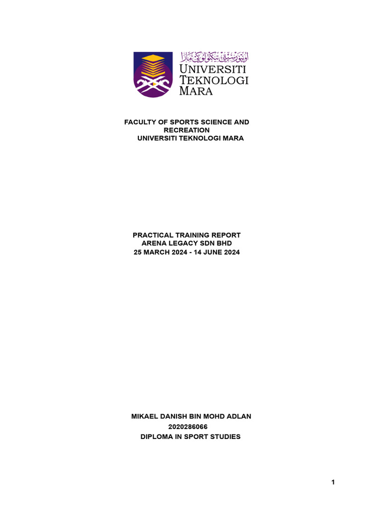 Mikael Danish Bin Mohd Adlan Practical Training Report | PDF