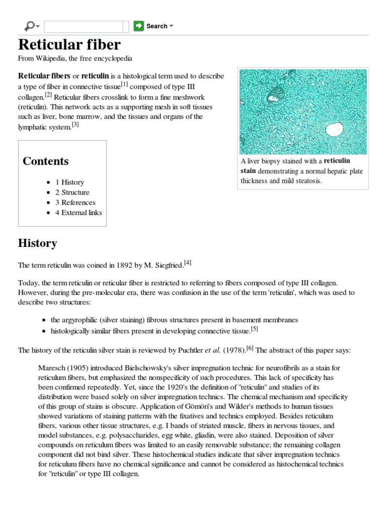 Reticular Fiber - Wikipedia, The Free Encyclopedia | PDF | Anatomy ...