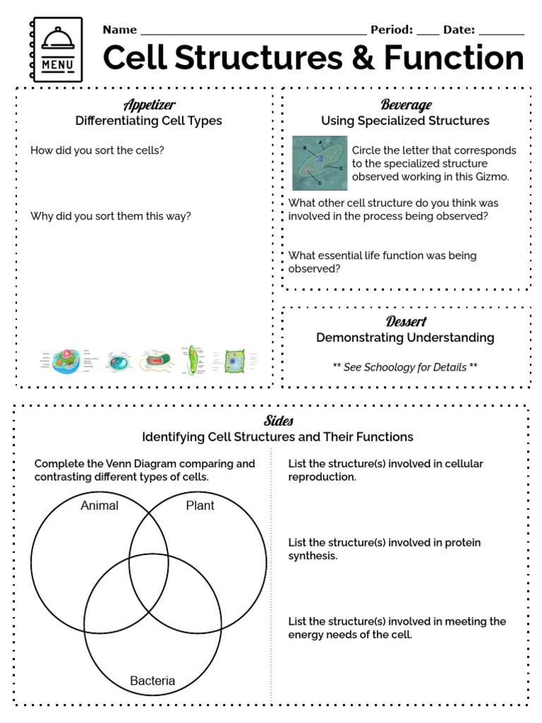 Cell Structures Function Menu | PDF | Wellness | Computers