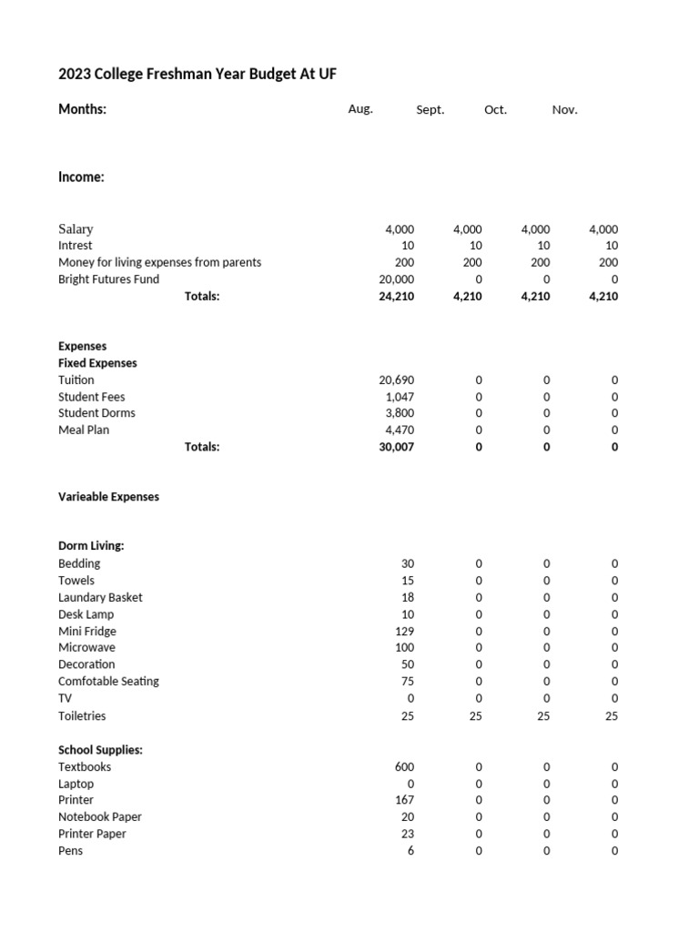 College Freshman Year - Budget Example | PDF | Office Work | Office ...