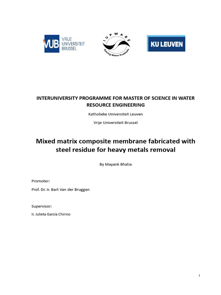Thesis Doc Final | PDF | Membrane | Membrane Technology