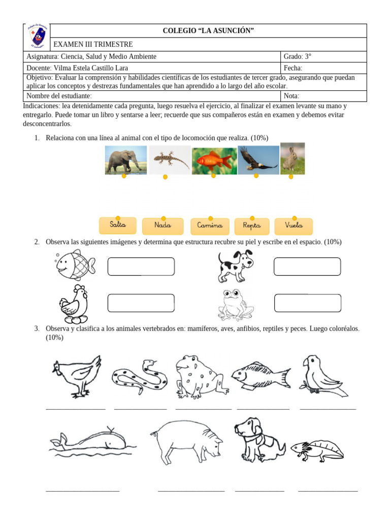 Examen de Ciencia 3ro 3P 2023 | PDF