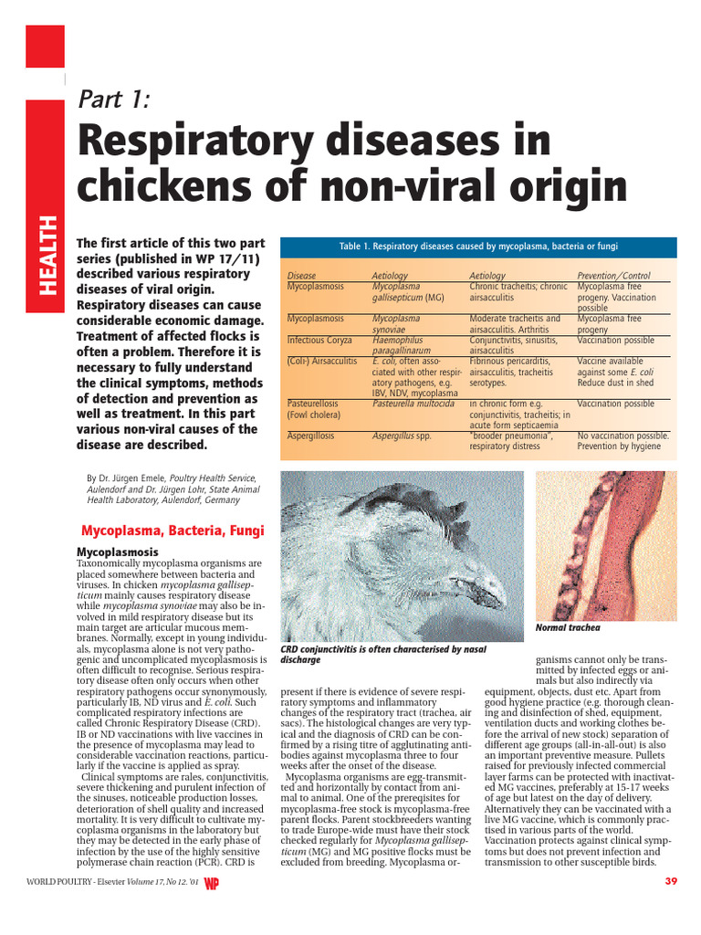 Respiratory Diseases in Chickens Non Viral | PDF | Infection | Medicine