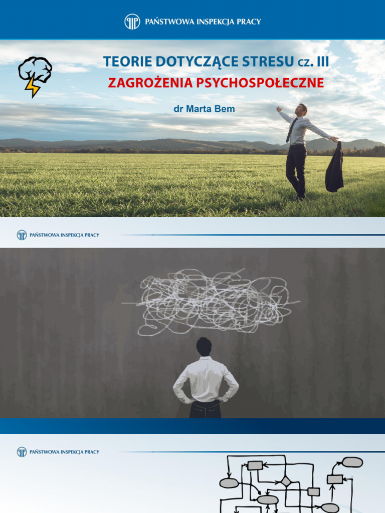 Teorie Stresu - cz.3 | PDF