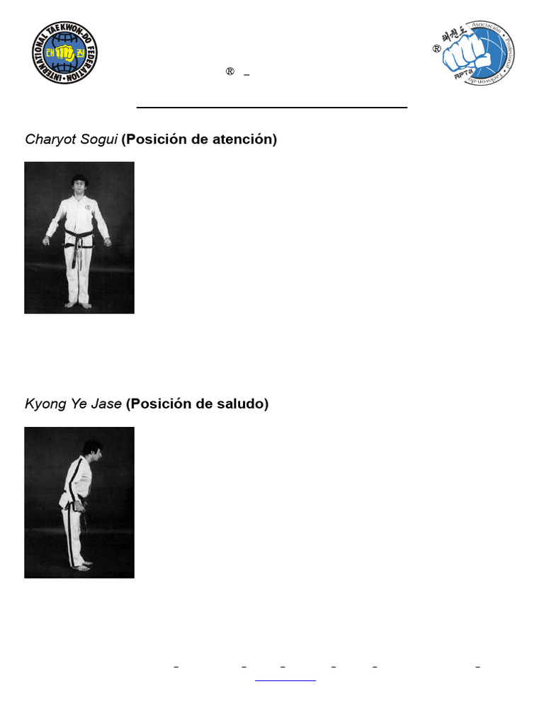 Posiciones Basicas | PDF | Taekwondo | Pie