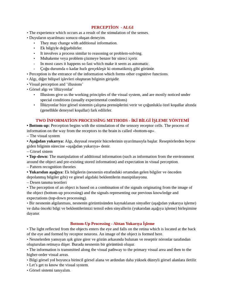 PERCEPTİON chp3 | PDF