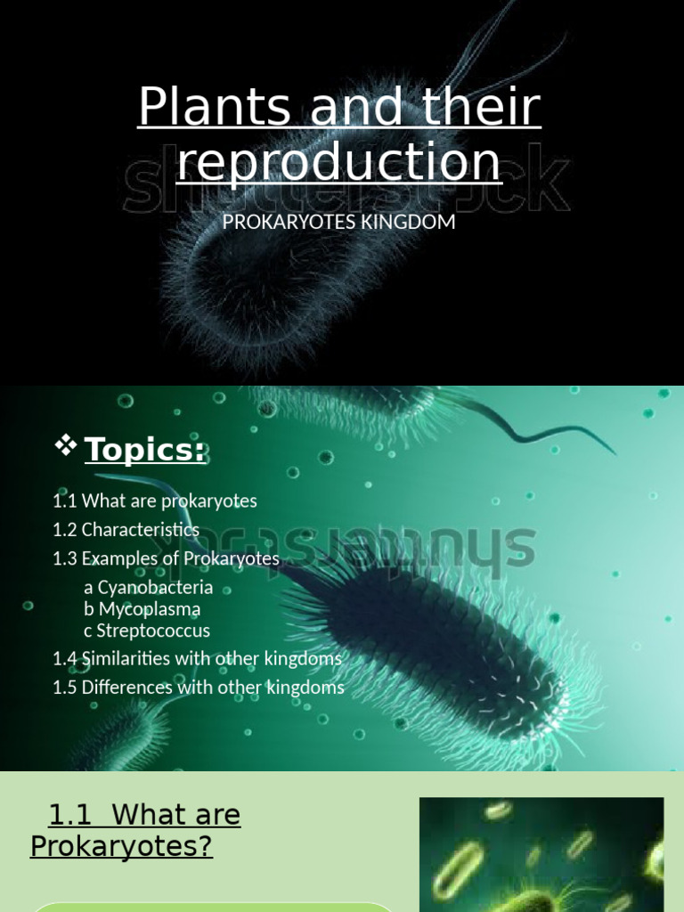 Science Presentation | PDF | Cell (Biology) | Prokaryote