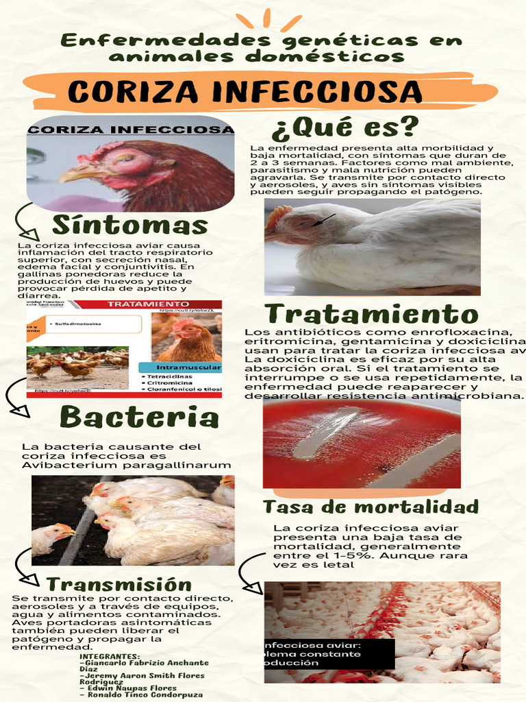 Coriza Infecciosa | PDF | Infección | Patógeno