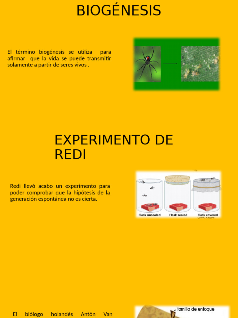 BIOGÉNESIS y Exogenesis | PDF