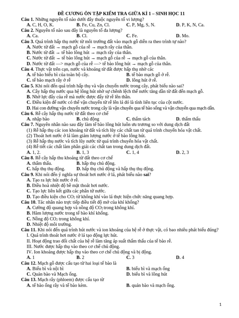 Đề Cương Ôn Tập KTGK 1 Sinh 11 | PDF