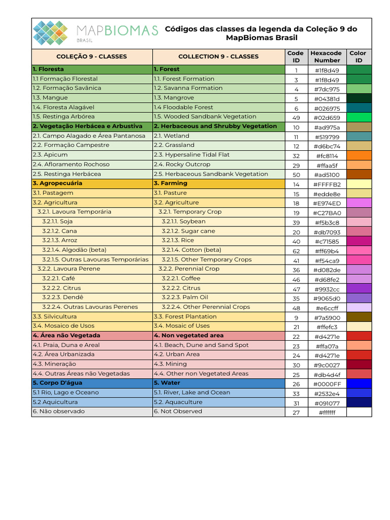 Legenda da Coleção 9 do MapBiomas | PDF | Ecologia de sistemas ...