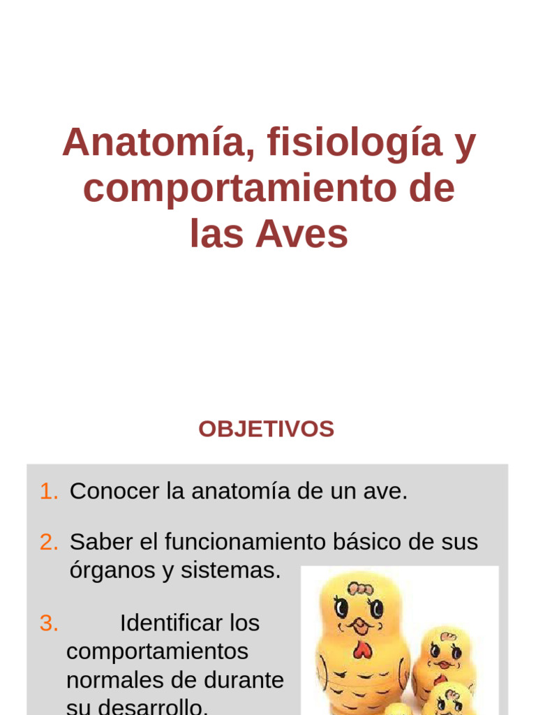 Anatomia y Fisiologia de Las Aves | PDF | Pollo | Sistema reproductivo