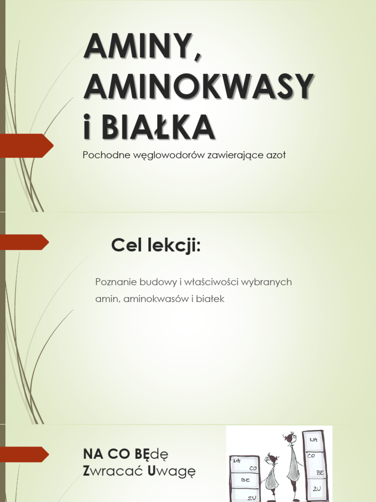 AMINY Aminokwasy I Białka | PDF