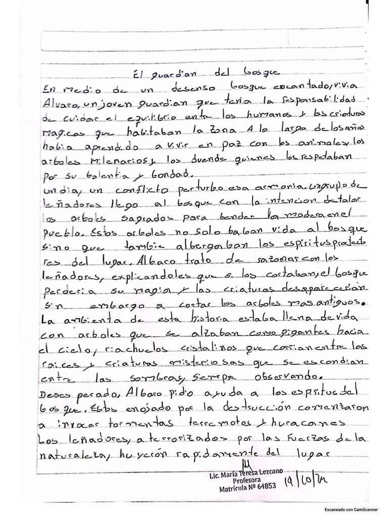 Nelson Ferreira Bogado | PDF