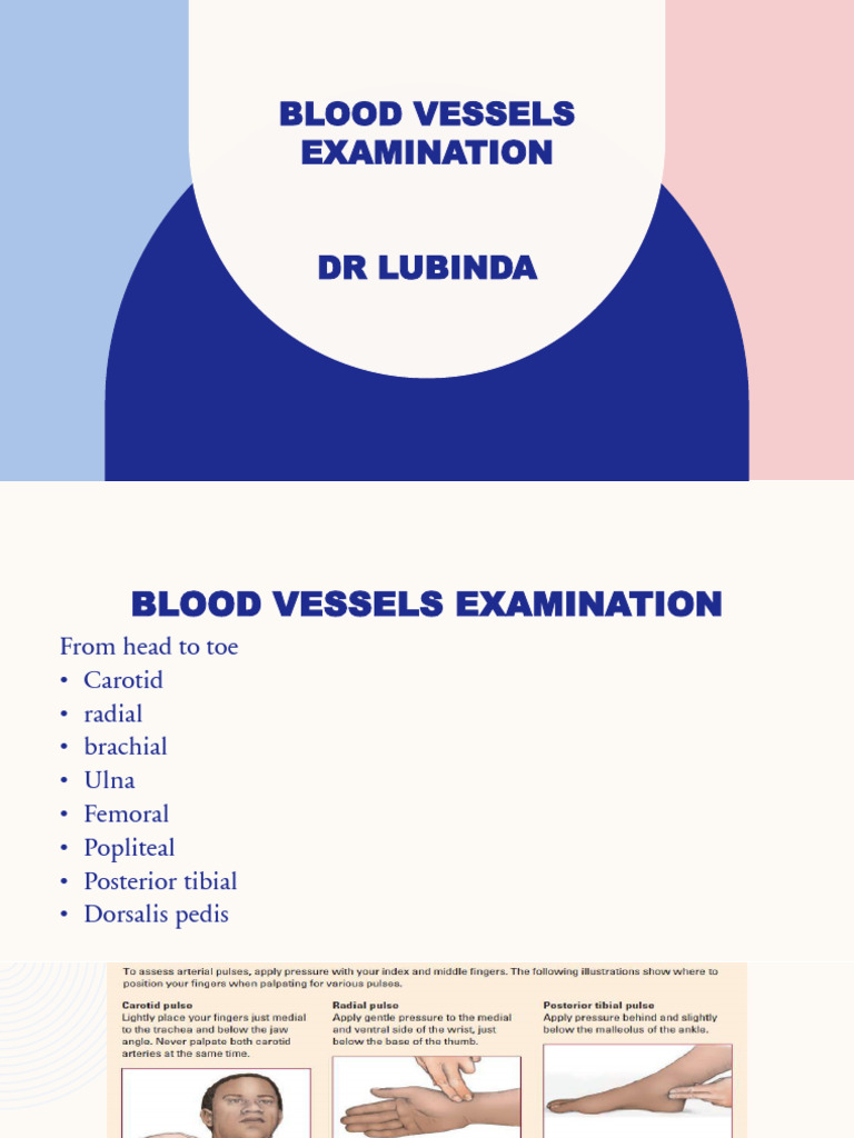 Blood Vessels Examination 2024 | PDF | Pulse | Knee