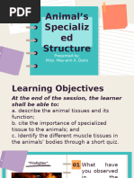 Class 9th Animal Tissue Notes | PDF | Epithelium | Muscle