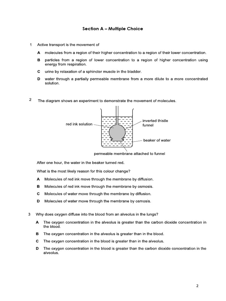 Cells & Movement Past Paper | PDF