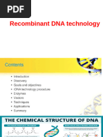 PSLE Foundation Math 2023 | PDF