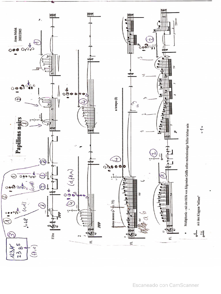 Anna Malek Papillons Noirs Flute Part | PDF