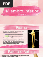 Anatomía del Maléolo Interno del Tobillo | PDF | Tobillo | Anatomía del ...