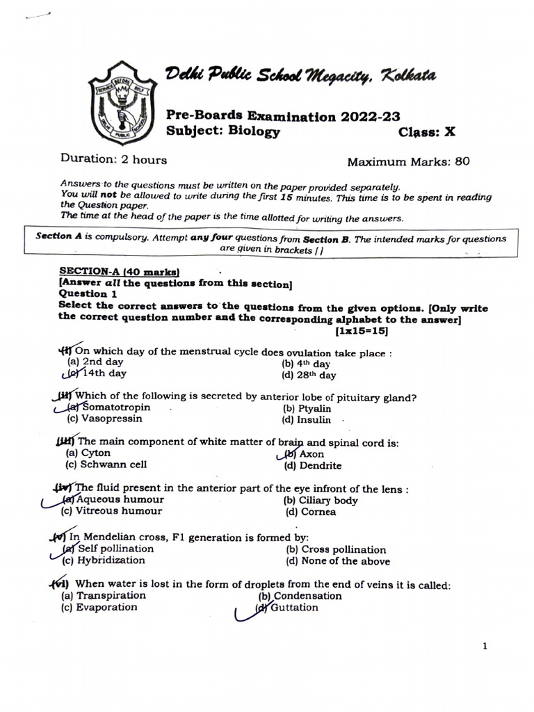 DPS Megacity - Pre Board X 2022-23 Biology | PDF | Anatomy