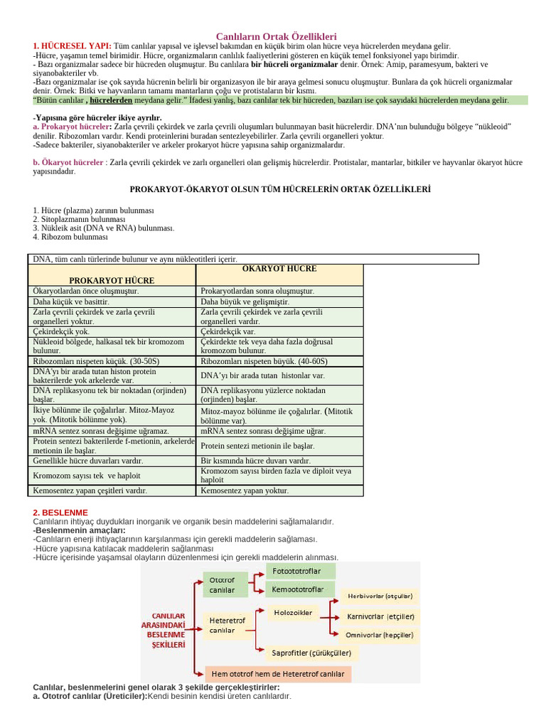 Canlıların Ortak Özellikleri | PDF