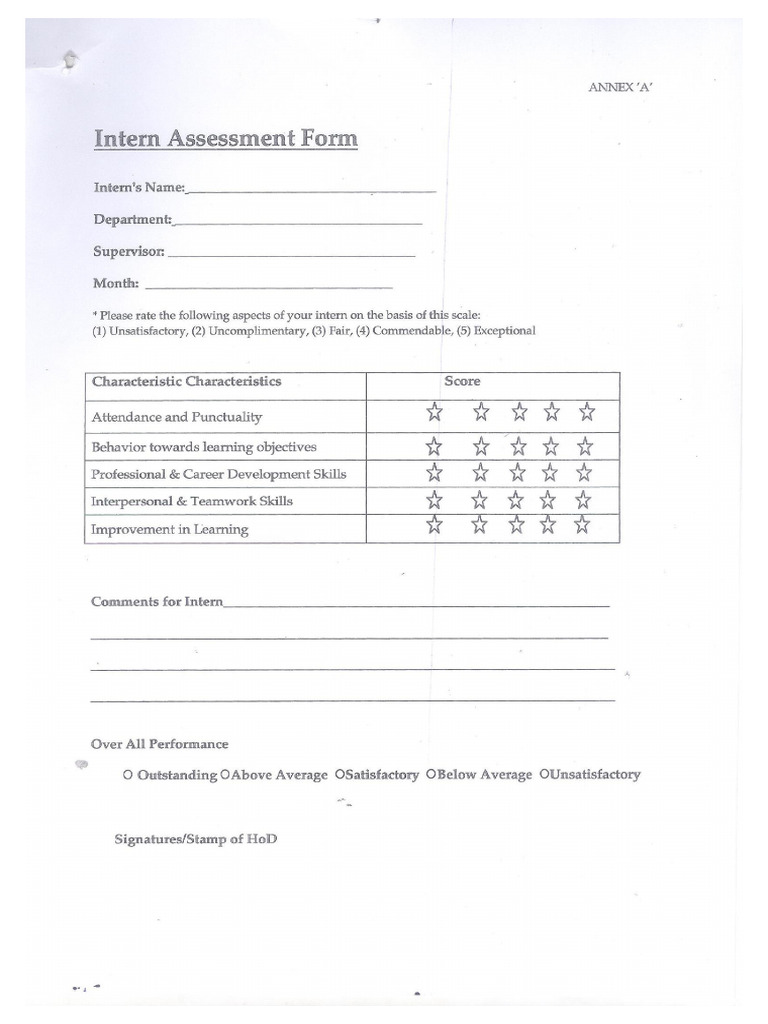NIP Intern Assessment Form | PDF