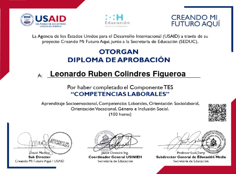 Diploma TES - Competencias Laborales-1 | PDF