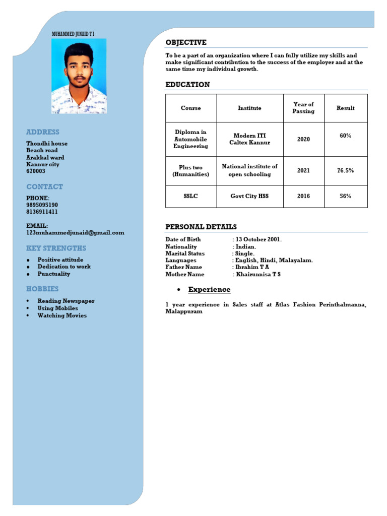 Junaid CV | PDF