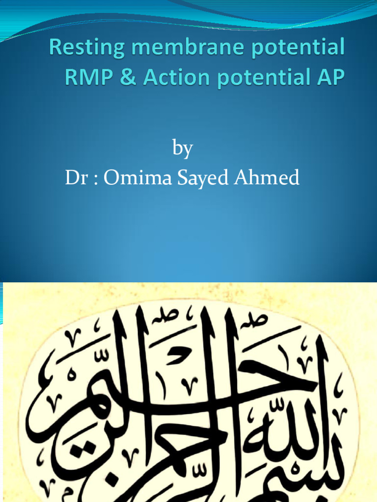 1 - RMP & Ap | PDF | Action Potential | Neuron