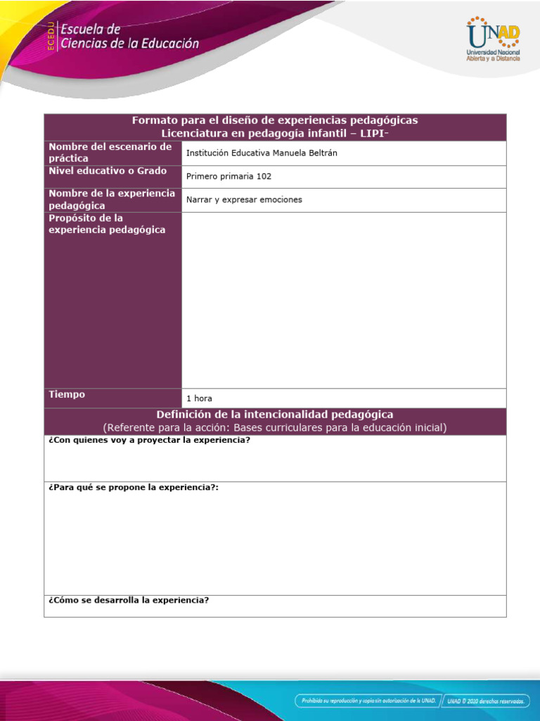 Formato de Diseño de Experiencias Pedagogicas | PDF | Las emociones | Experiencia