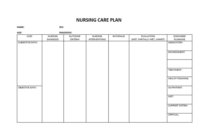 Nursing Care Plan | PDF