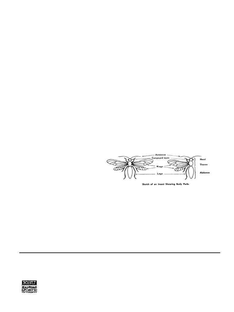 Intro | PDF | Insects | Entomology